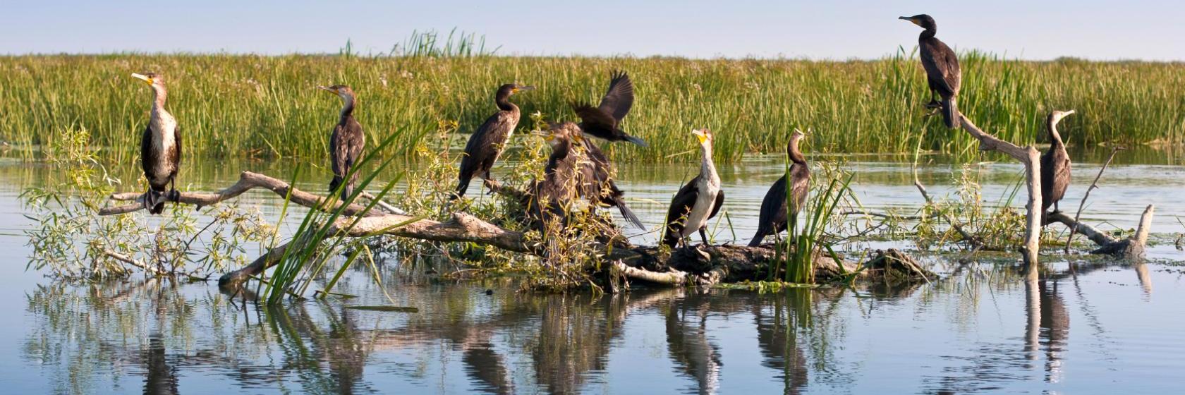 The 10 best hotels & places to stay in Crisan, Romania - Crisan hotels