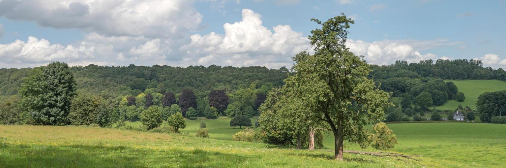 The best available hotels & places to stay near Parike, Belgium