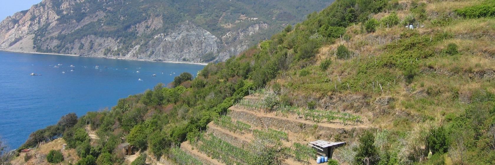 2 Hotels in Beverone, - Booking.com