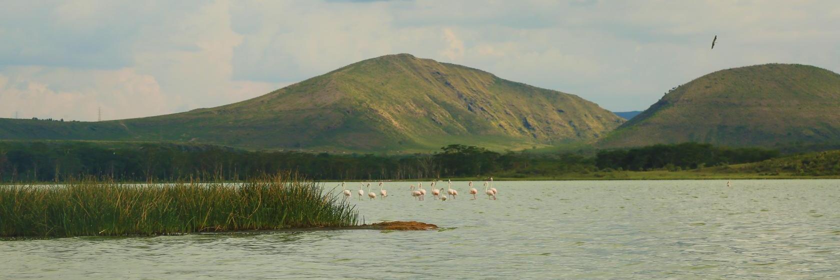 The 10 best hotels & places to stay in Gilgil, Kenya - Gilgil hotels