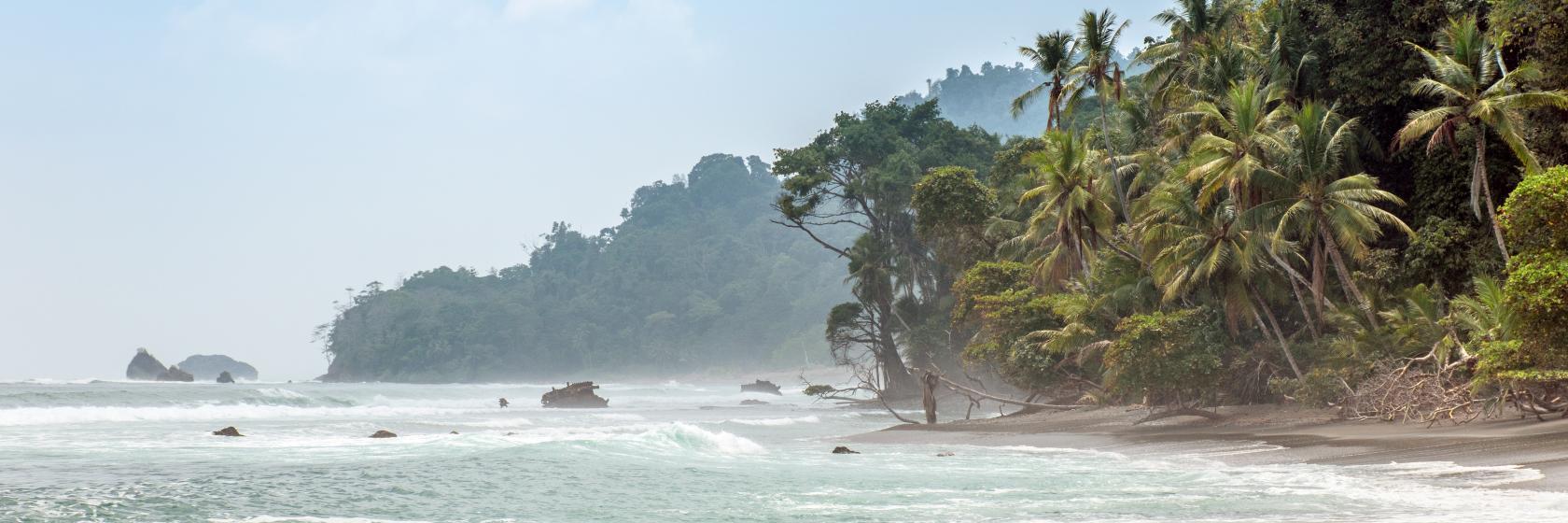 The best available hotels & places to stay near Sirena, Costa Rica