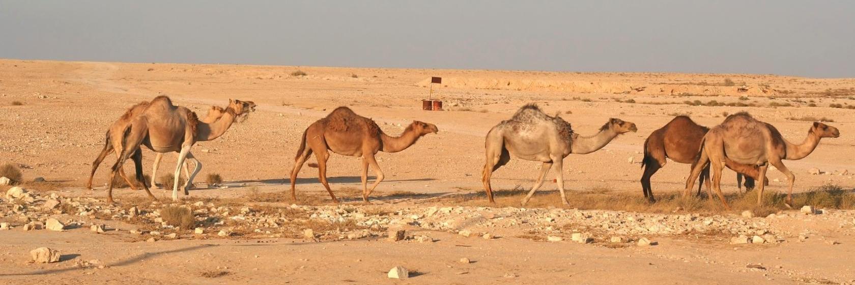 The best available hotels & places to stay near Divundu, Namibia