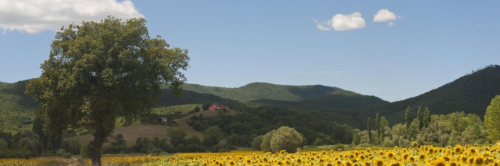 The best available hotels & places to stay near Miranda, Italy