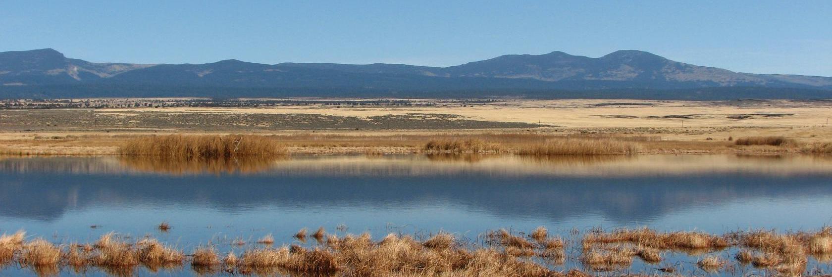 The best available hotels & places to stay near Cedarville, United States