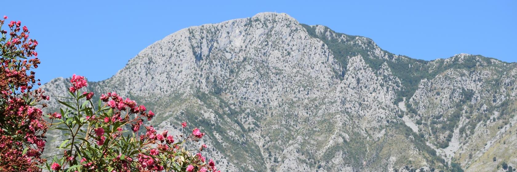 Os melhores hotéis de Ausonia, Itália (a partir de R$ 268)