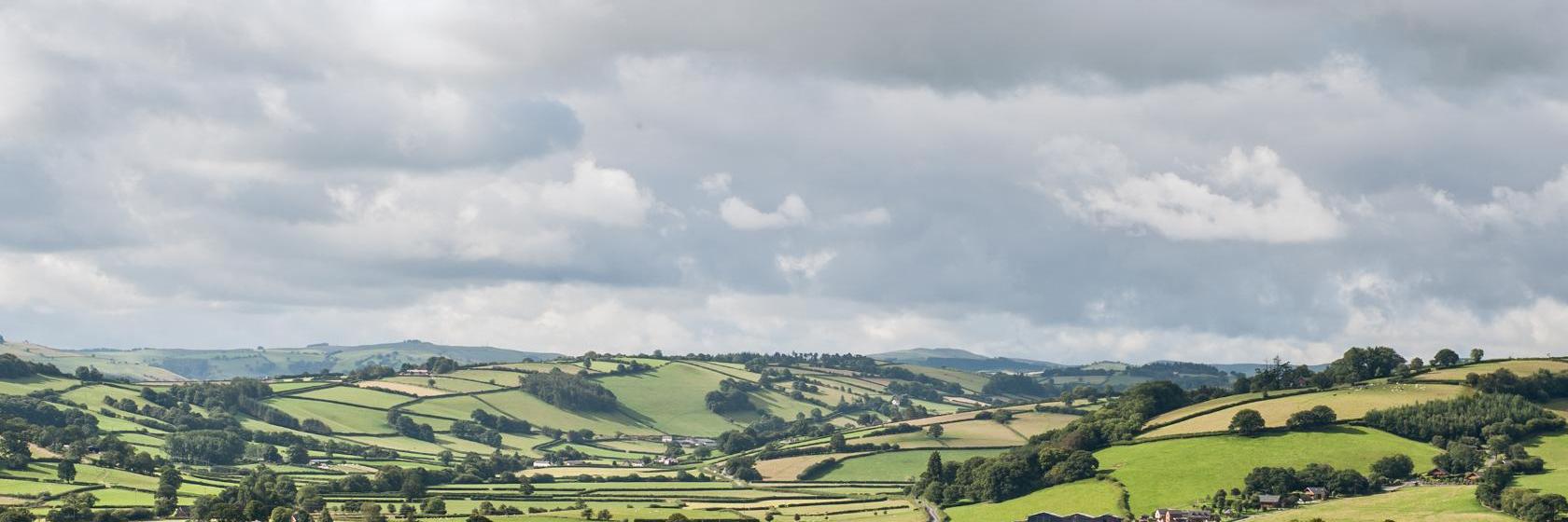 The 10 best hotels in Trefeglwys, Powys - Cheap Trefeglwys hotels