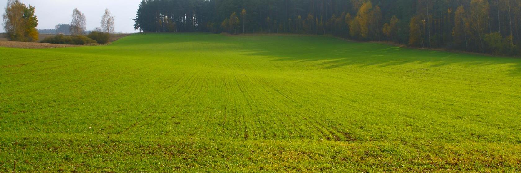 The best available hotels & places to stay near Obrzycko, Poland