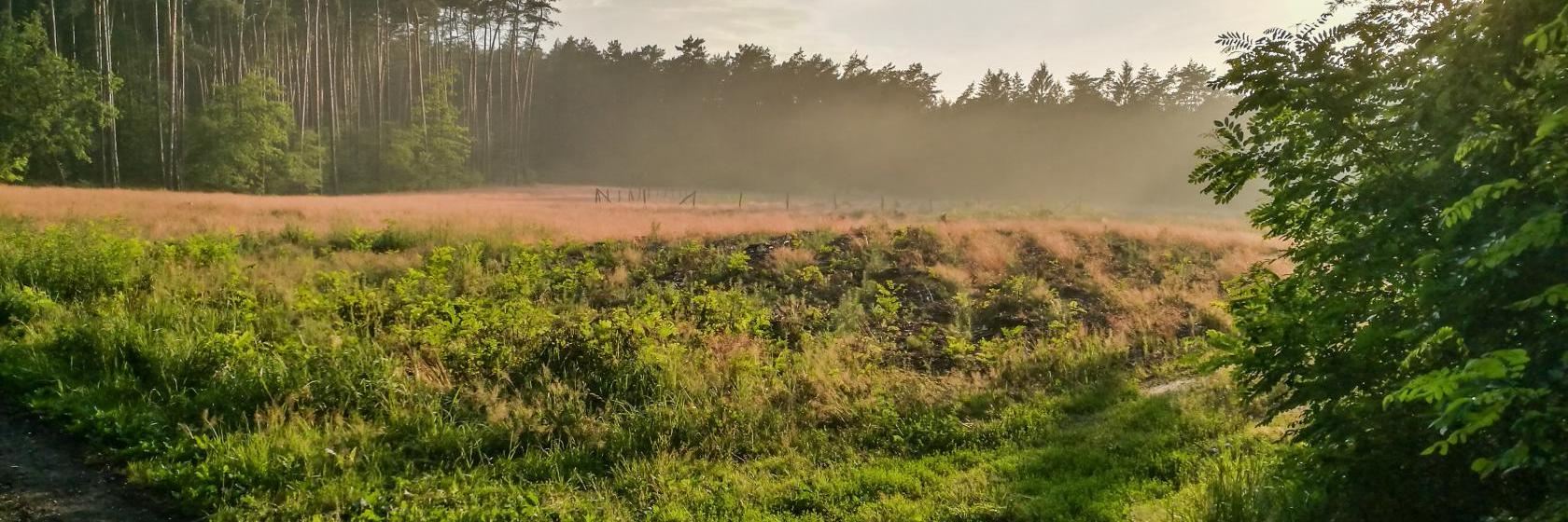 The best available hotels & places to stay near Dobra, Poland