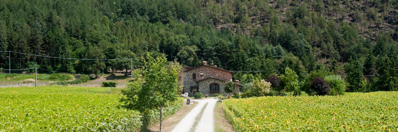 The Best Antria Hotels, Italy (From $93)