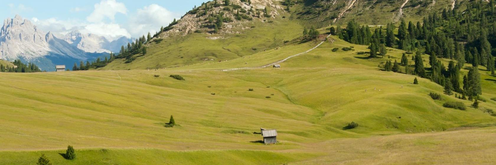 De bedste hoteller i Malosco, Italien – fra DKK 522