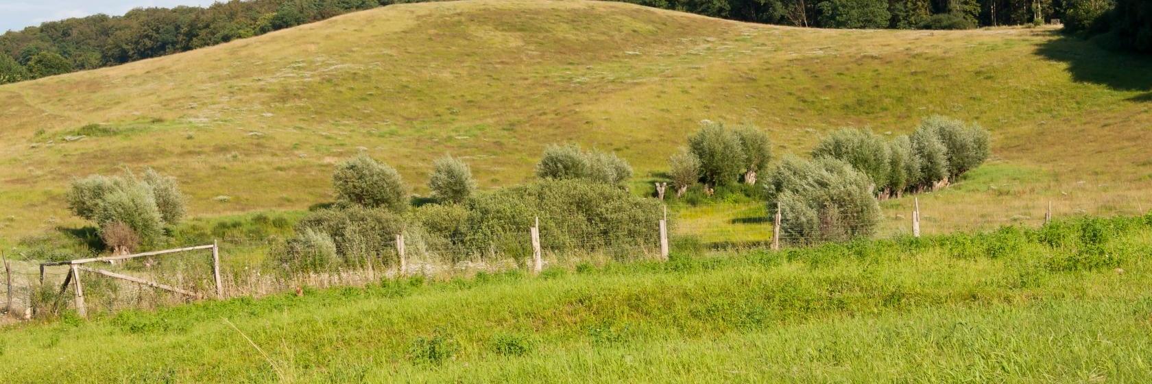 The 10 best hotels & places to stay in Pau, Spain - Pau hotels