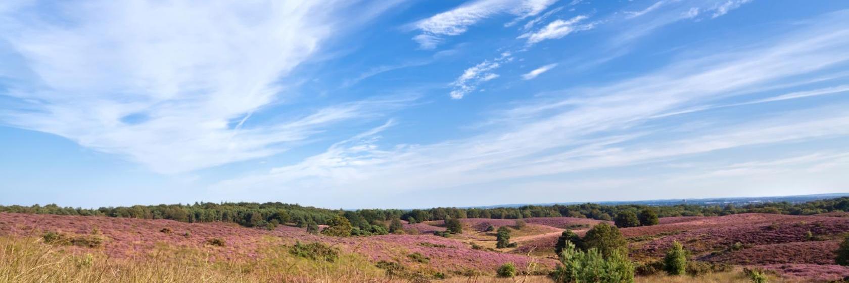 The best available hotels & places to stay near Wapse, Netherlands