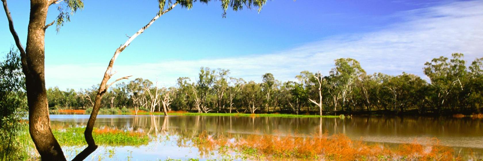 The best available hotels & places to stay near Saint George, Australia