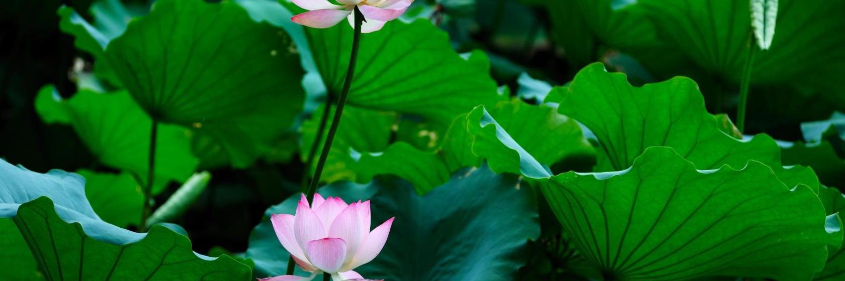 The best available hotels & places to stay near Chenghai, China