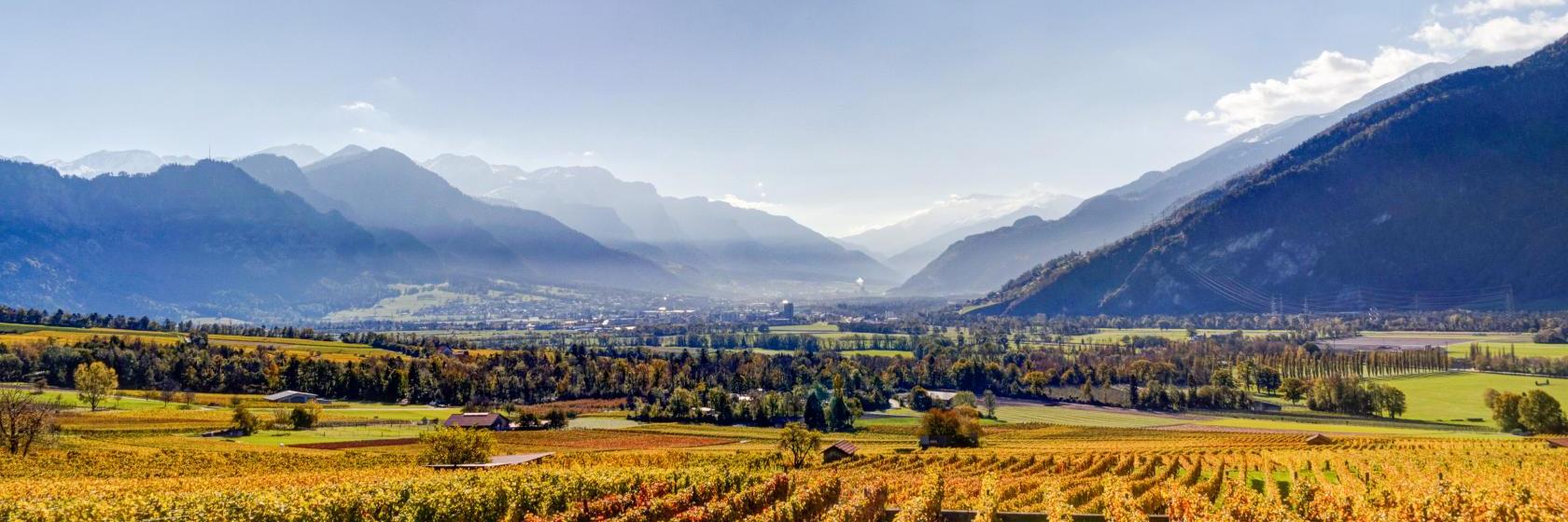 The best available hotels & places to stay near Jenins, Switzerland