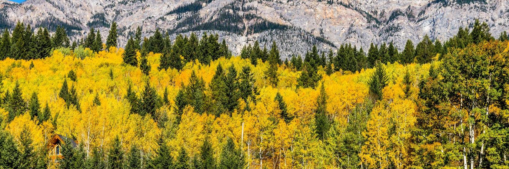 The 10 best hotels & places to stay in Parson, Canada - Parson hotels