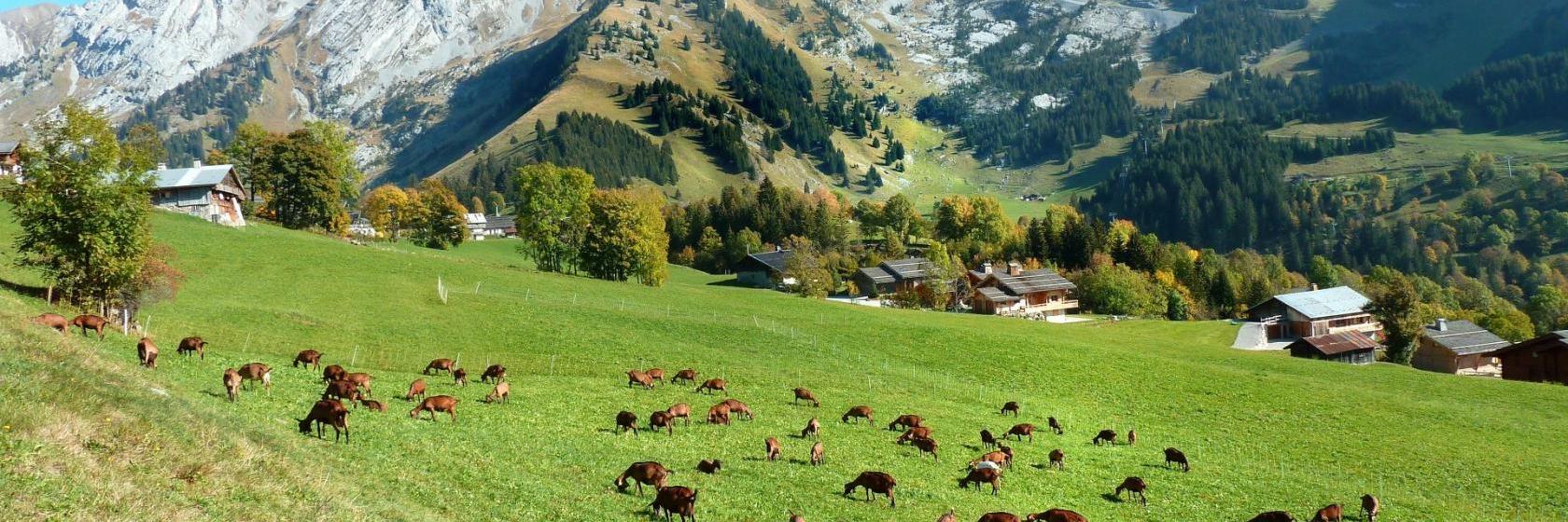 The 10 best hotels & places to stay in Entremont, France - Entremont hotels
