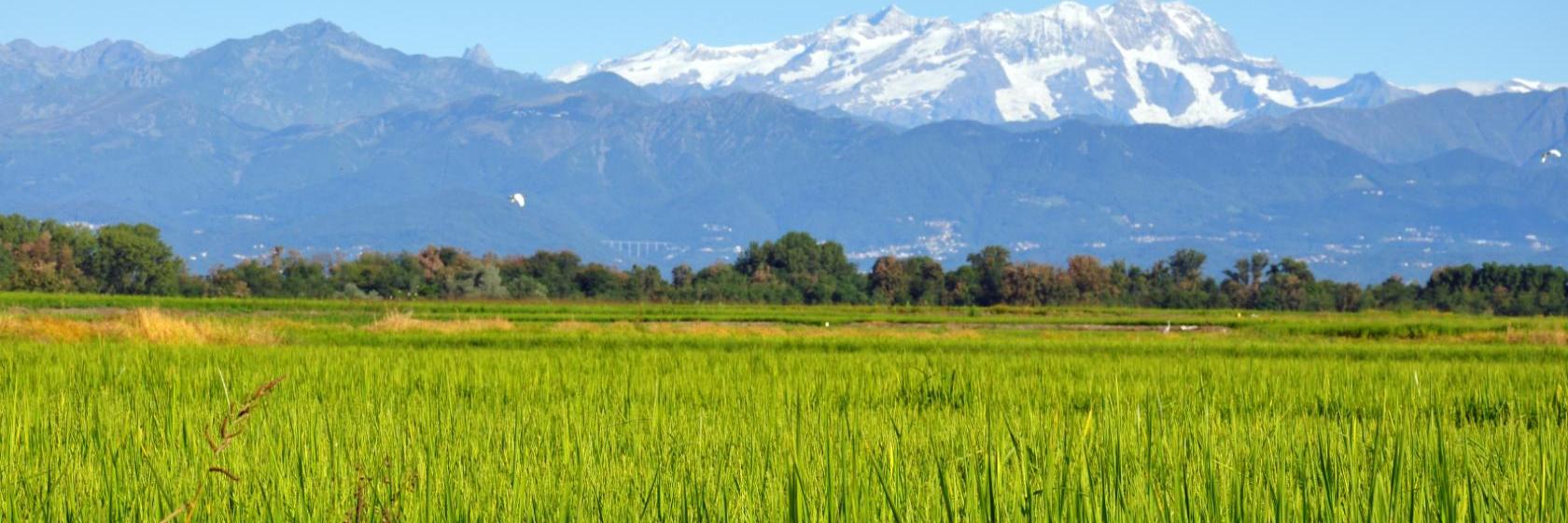 The 10 best hotels & places to stay in Basiglio, Italy - Basiglio hotels