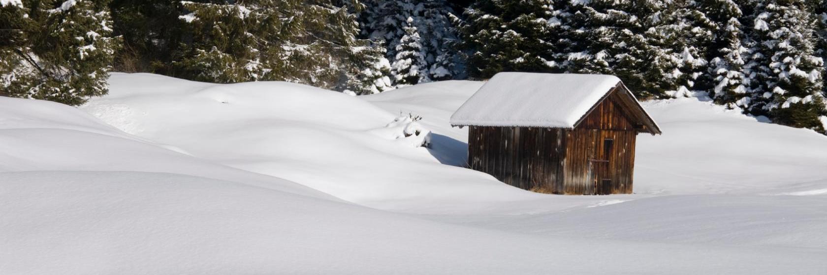 The 10 best hotels & places to stay in Steeg, Austria - Steeg hotels