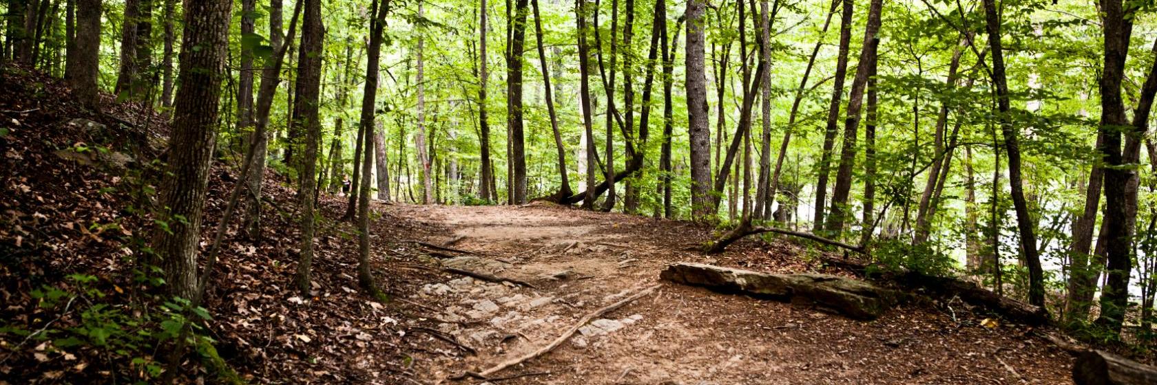 The best available hotels & places to stay near Kist, Germany