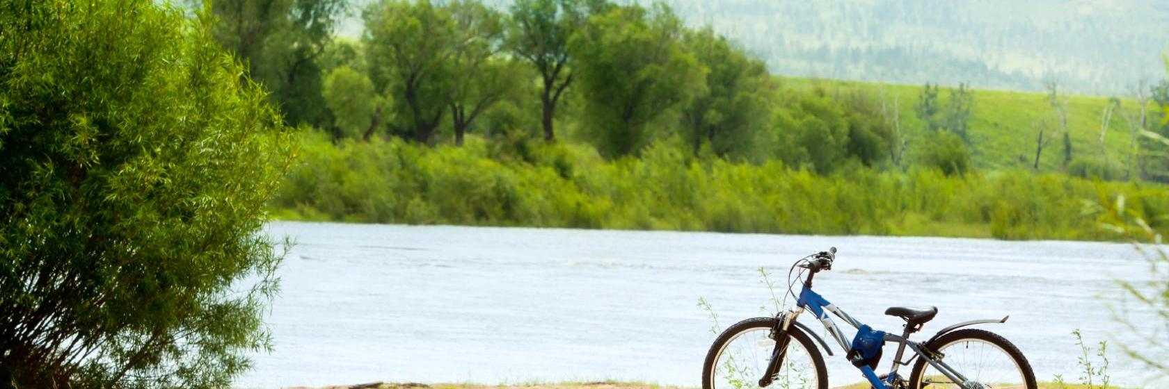 The 10 best hotels & places to stay in Rees, Germany - Rees hotels