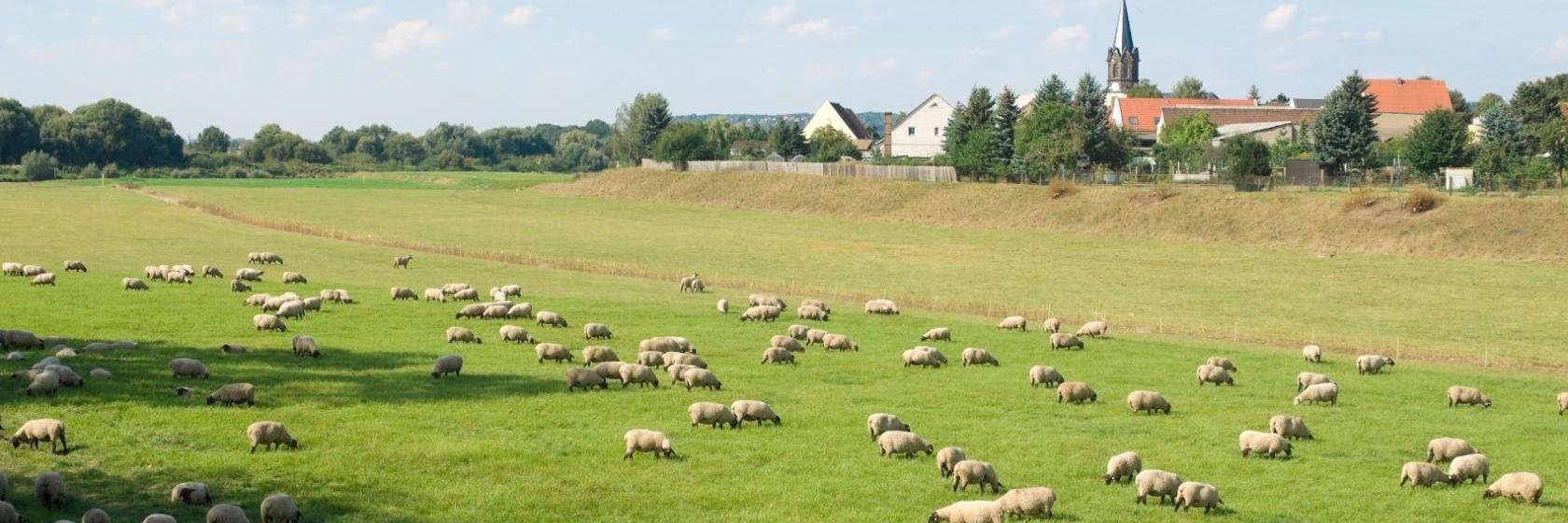 The 10 best hotels & places to stay in Ascheberg, Germany - Ascheberg ...