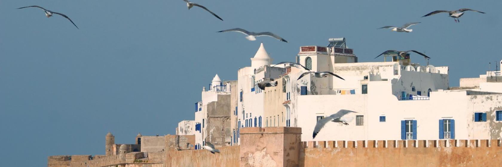 The 10 best hotels & places to stay in Ghazoua, Morocco - Ghazoua hotels