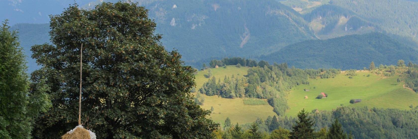 The 10 best hotels & places to stay in Cheia, Romania - Cheia hotels