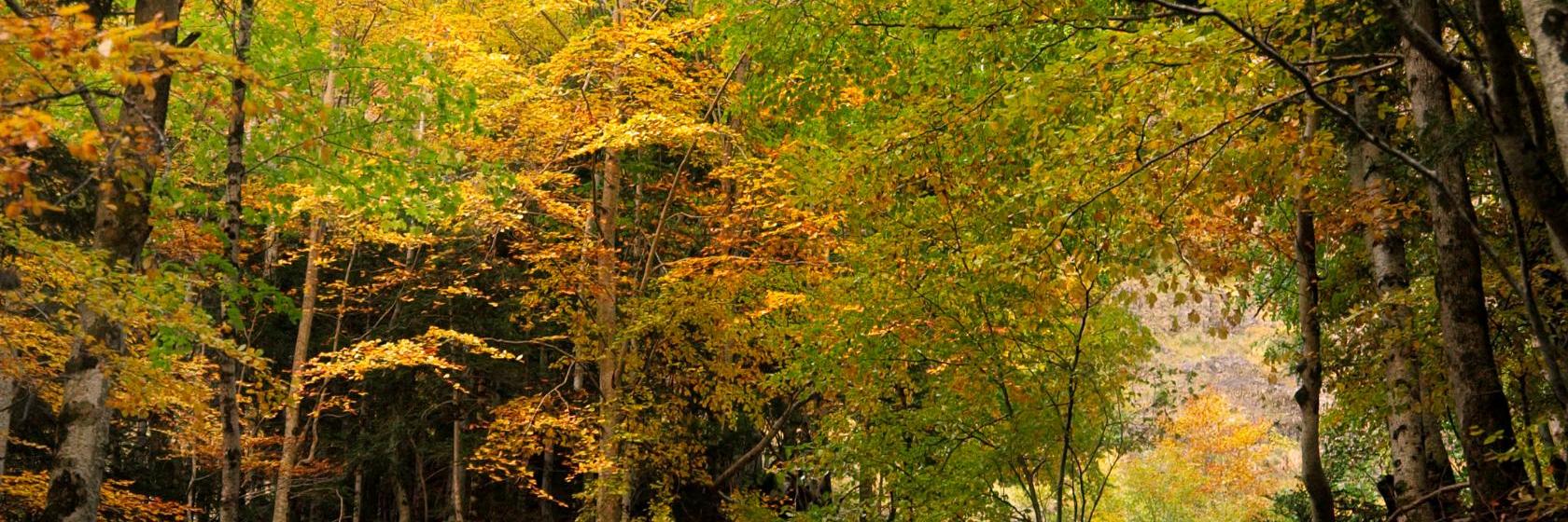 The 10 best hotels & places to stay in Gavín, Spain - Gavín hotels