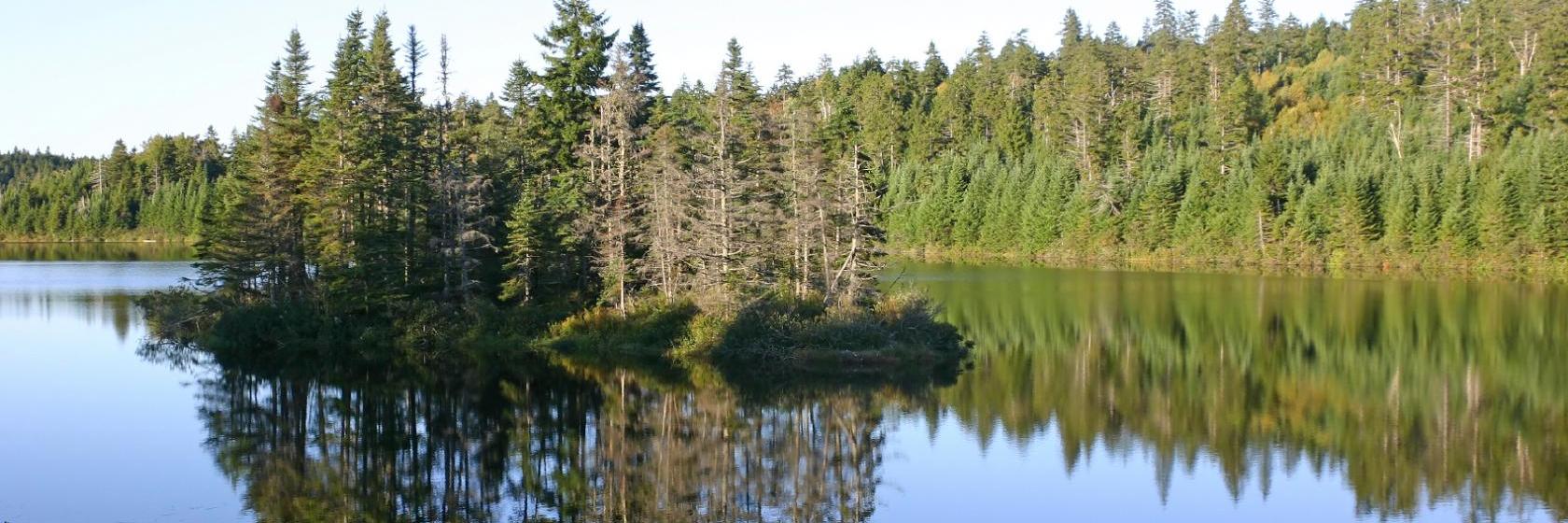 Hôtels à St-Alexis-de-Matapédia. Hôtels avec Meilleur Prix Garanti ...