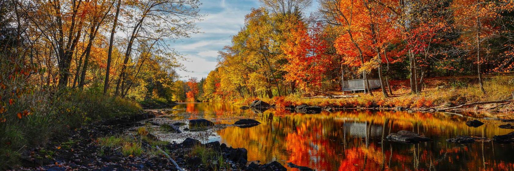 The best available hotels & places to stay near Tweed, Canada