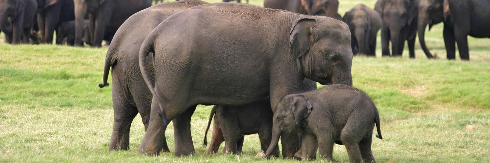 The 10 best hotels & places to stay in Embilipitiya, Sri Lanka ...