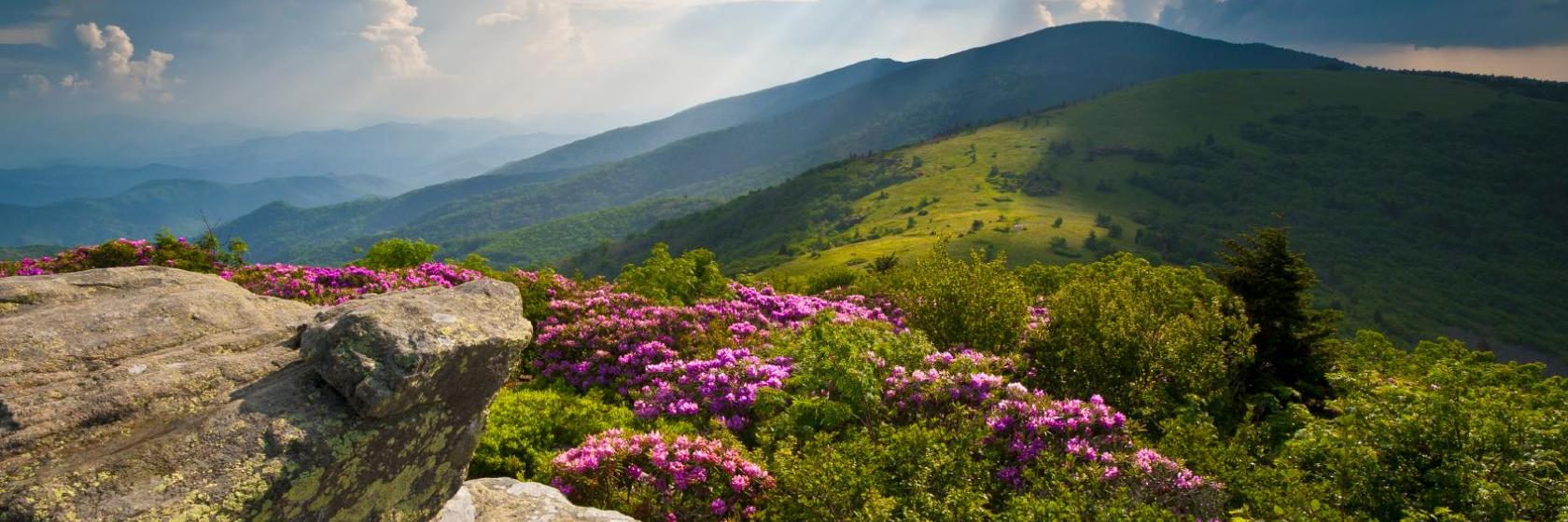 The 10 Best Flat Rock Hotels (From $99)