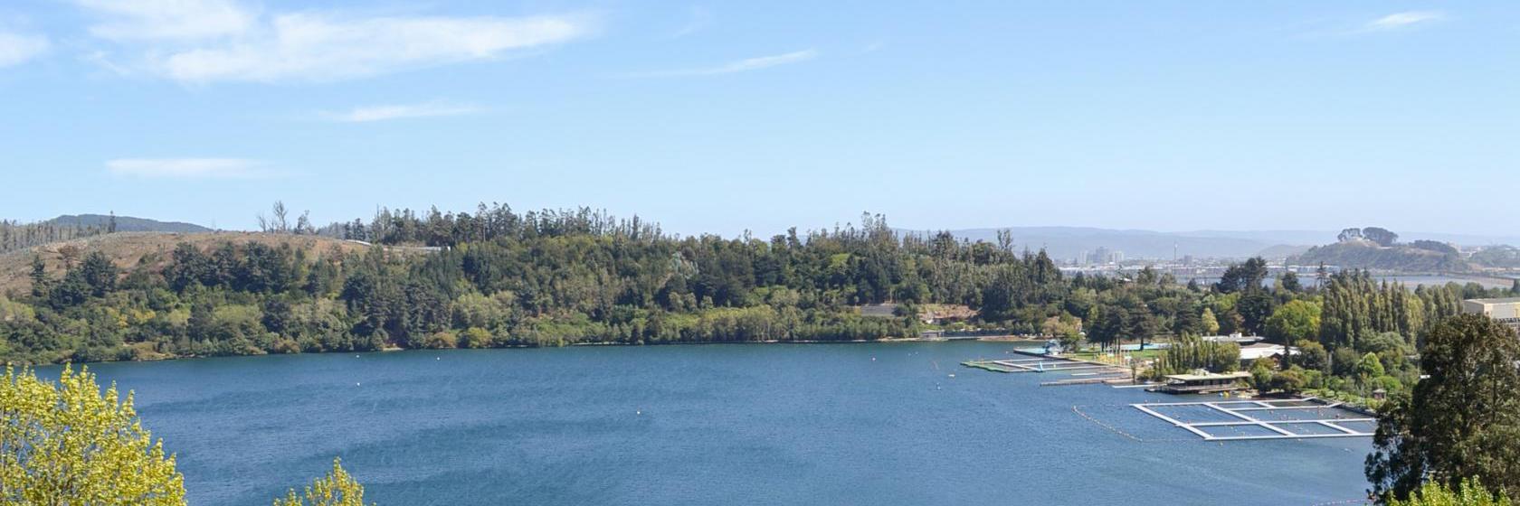 Los 10 mejores hoteles de San Pedro de la Paz, Chile (desde € 44)