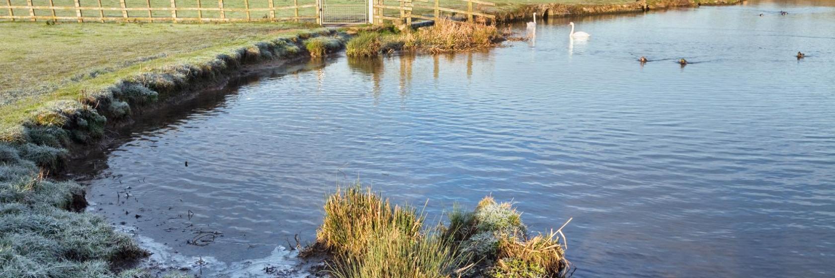 The 10 best hotels close to Bourne End Train Station in Cookham, United ...