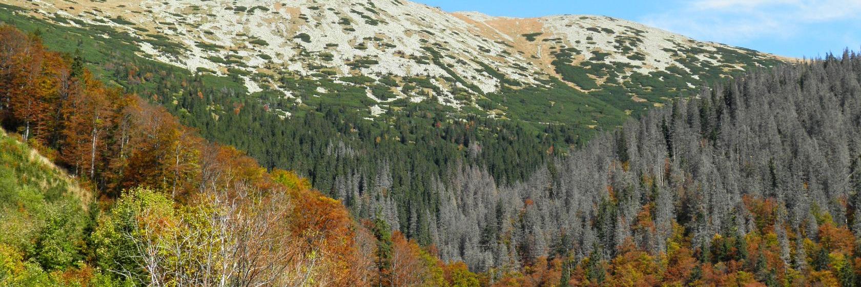 The 10 best hotels & places to stay in Bystrá, Slovakia - Bystrá hotels