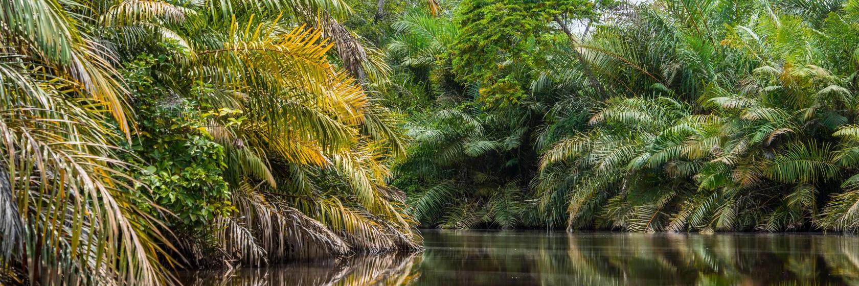 The best available hotels & places to stay near Muanda, Democratic ...