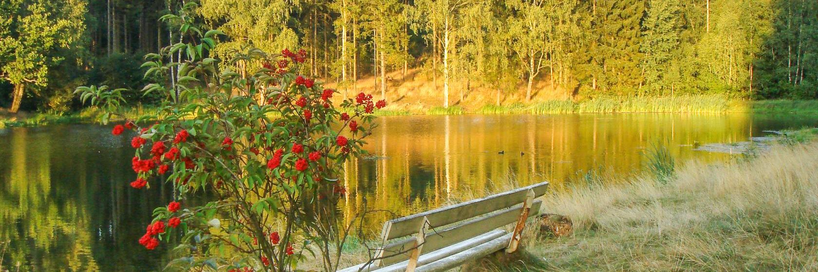 The best available hotels & places to stay near Neudorf, Germany