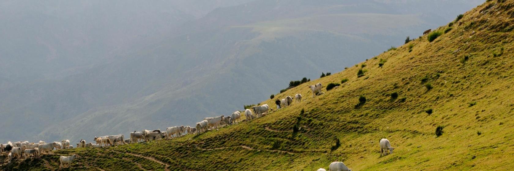 Die besten verfügbaren Hotels und Unterkünfte in der Nähe von Biert ...