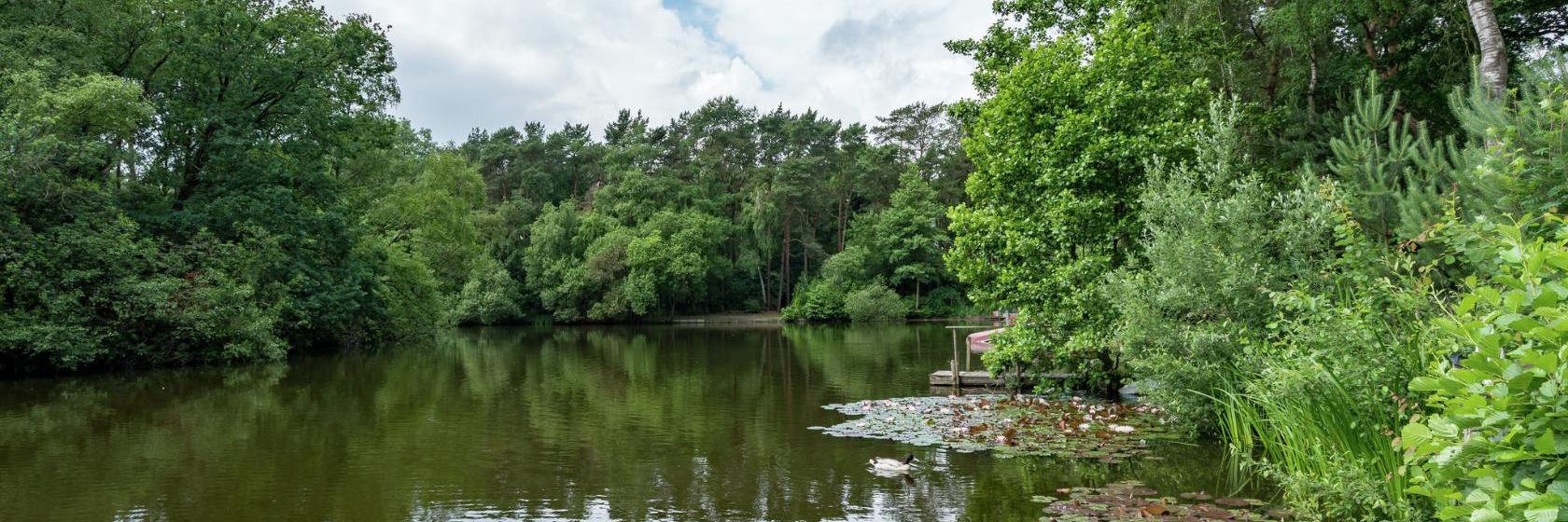 The best available hotels & places to stay near Bergentheim, Netherlands