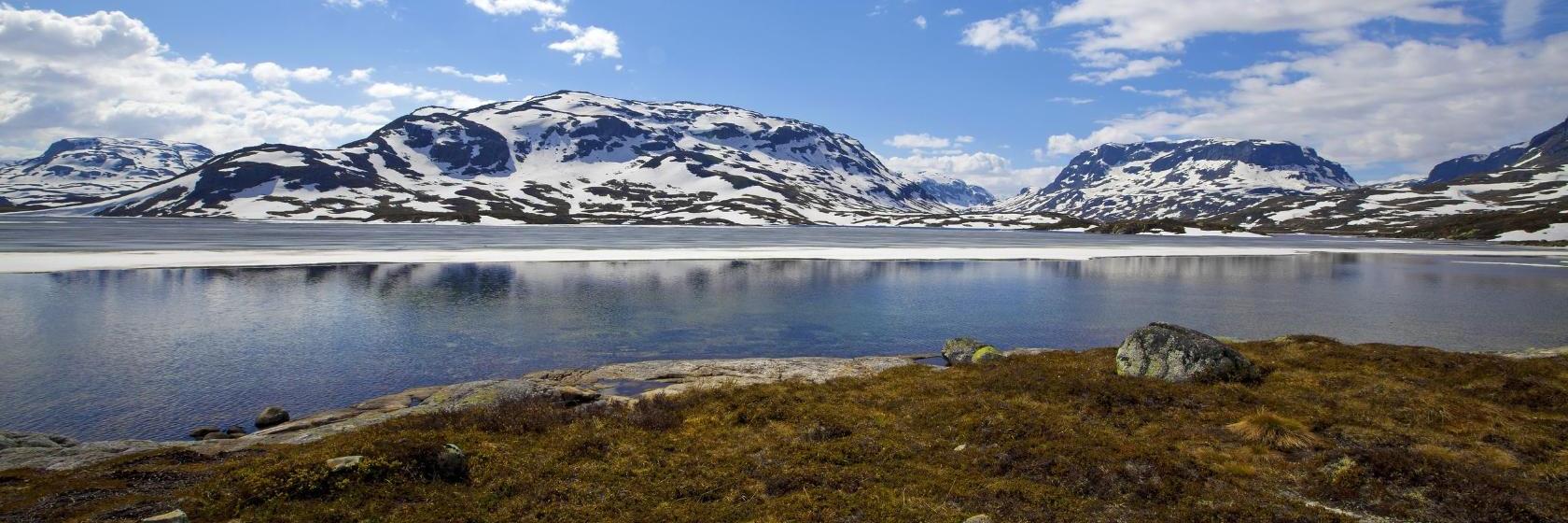 The best available hotels & places to stay near Botn, Norway