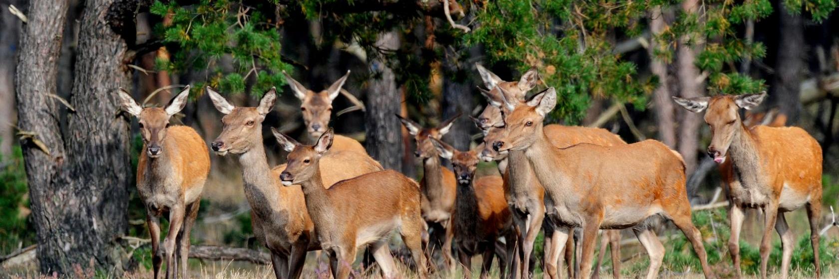 The best available hotels & places to stay near Haste, Germany