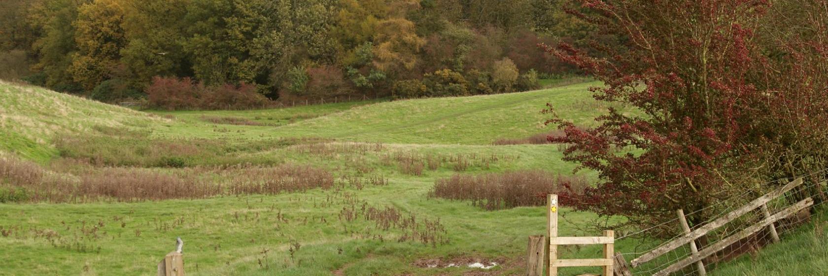 The best available hotels & places to stay near Higher Burwardsley ...