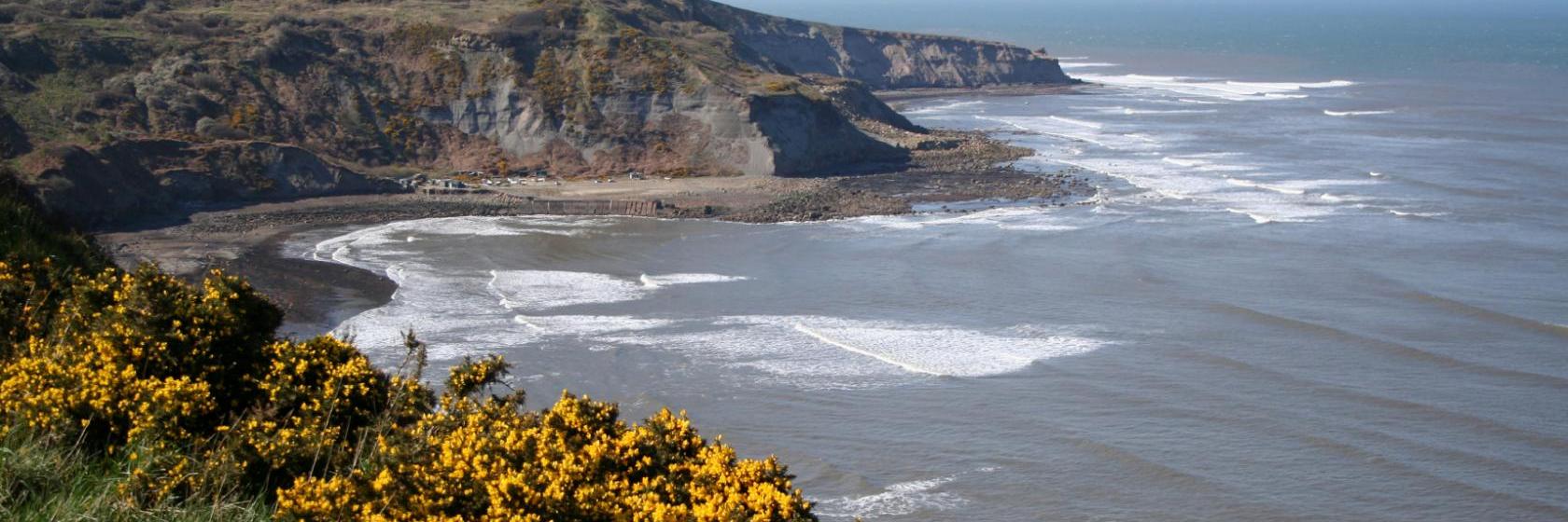 10 Best Loftus Hotels, United Kingdom (From $193)