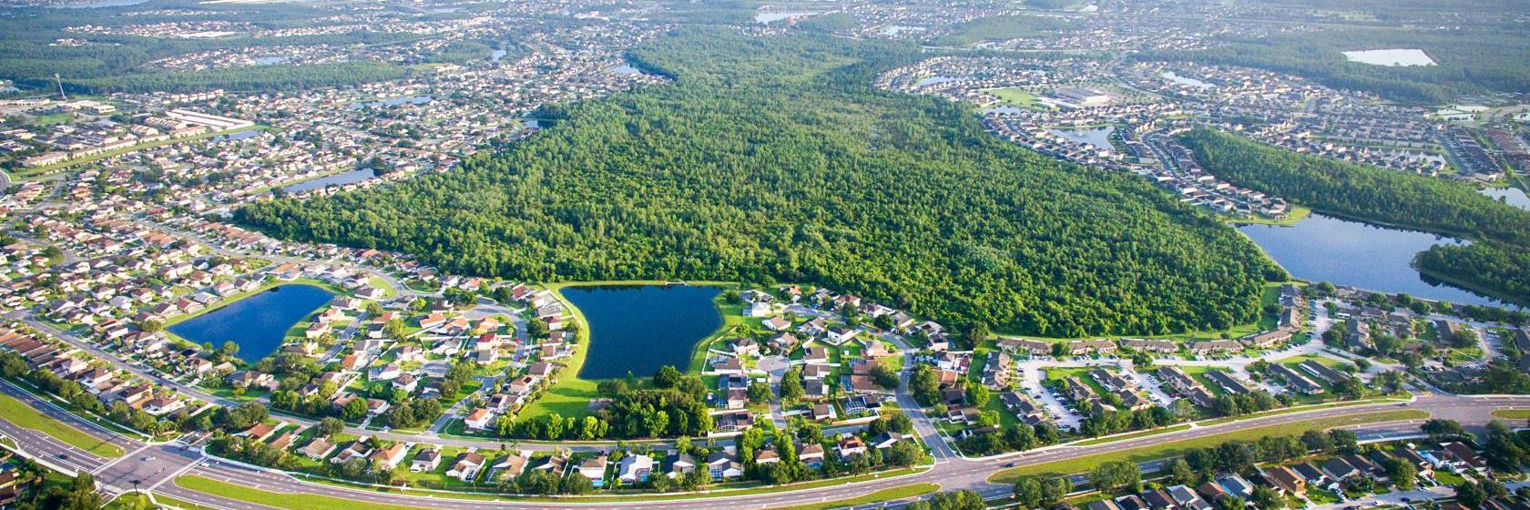 The Best Bay Lake Hotels (From $118)