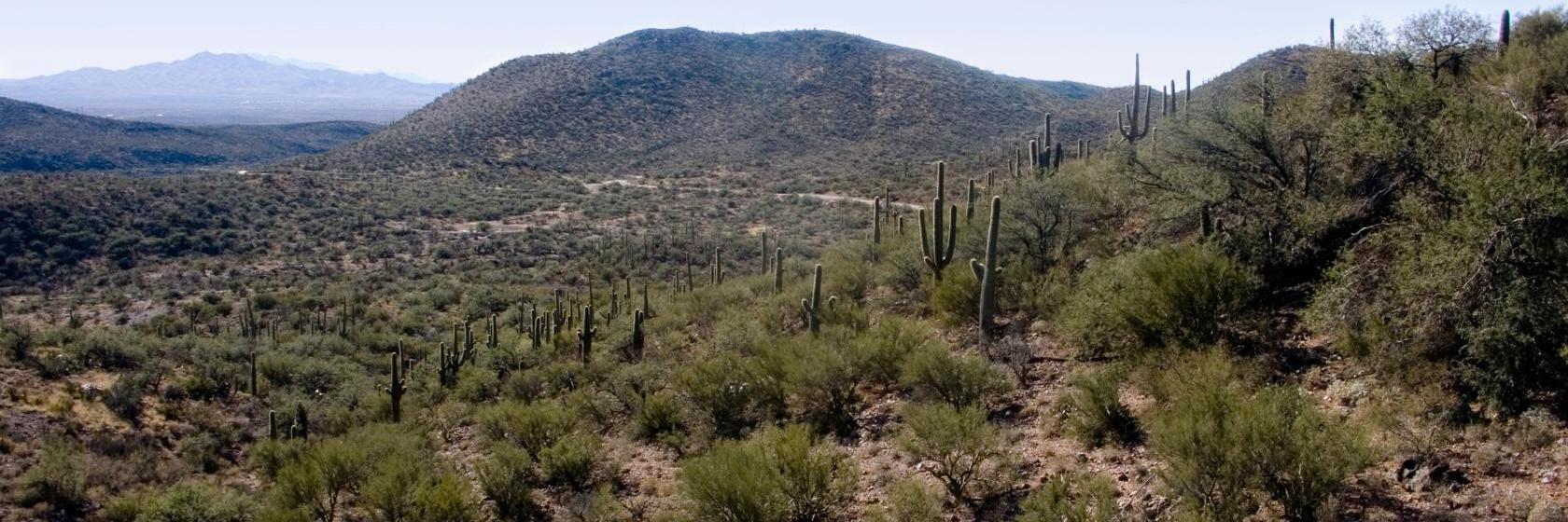 The best available hotels & places to stay near Sasabe, AZ