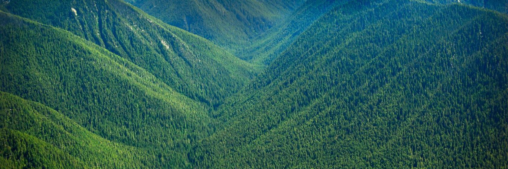 The best available hotels & places to stay near Dryden, WA