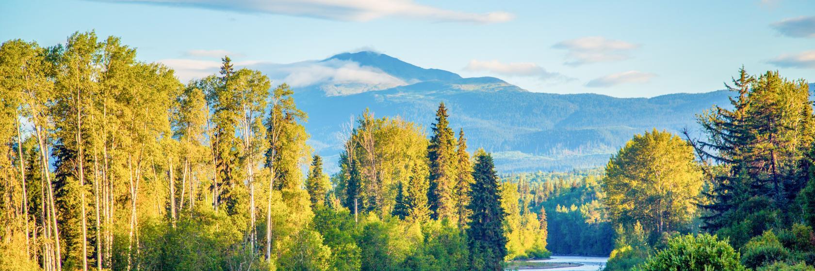 The best available hotels & places to stay near Kispiox, Canada