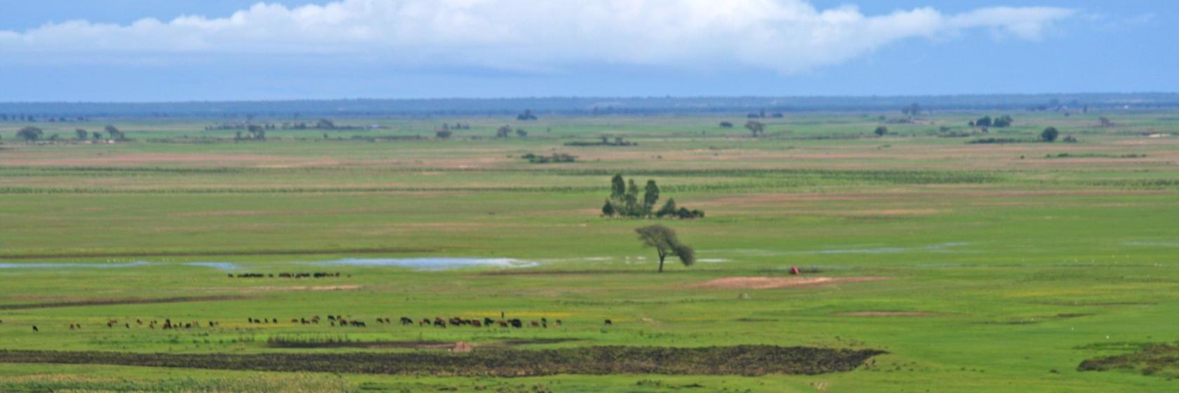 The best available hotels & places to stay near Mongu, Zambia