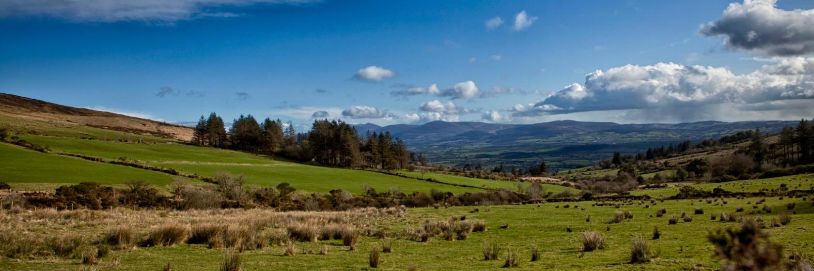 10 Best Mallow Hotels, Ireland (From $83)